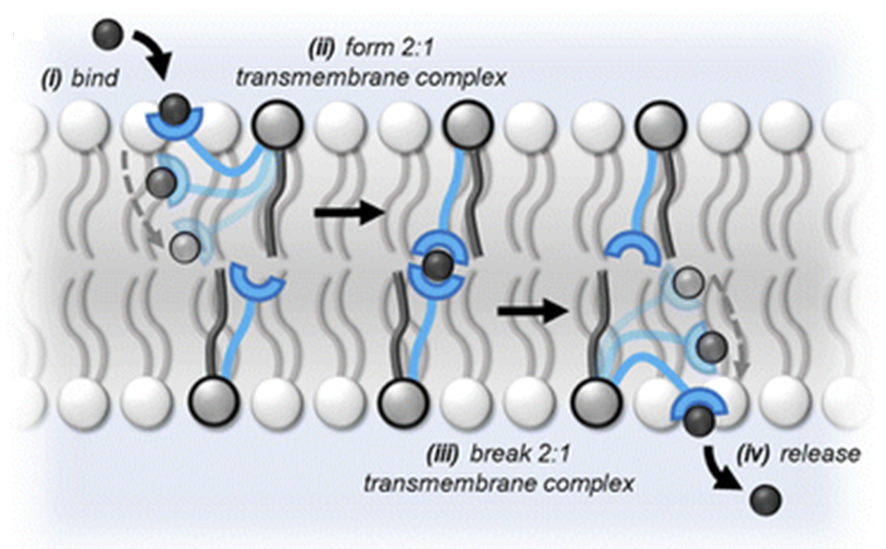 Toby, Andrew and Amir's work is published in Chemical Science ...