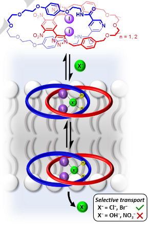Hui, Toby and Andrew's work is published in Angewandte Chemie ...