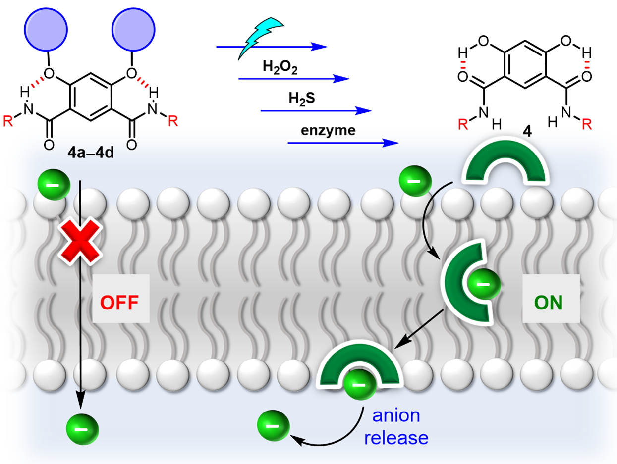 Manzoor, Toby and Martin's work is published in Angewandte Chemie as a ...